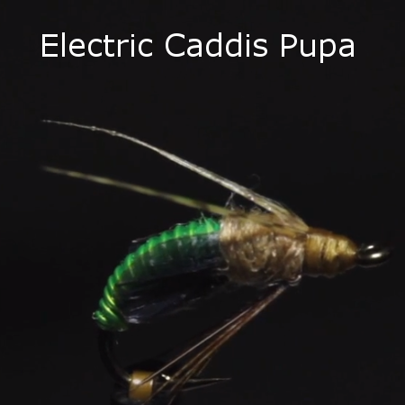Caddis – Flyfishers at the Crossing