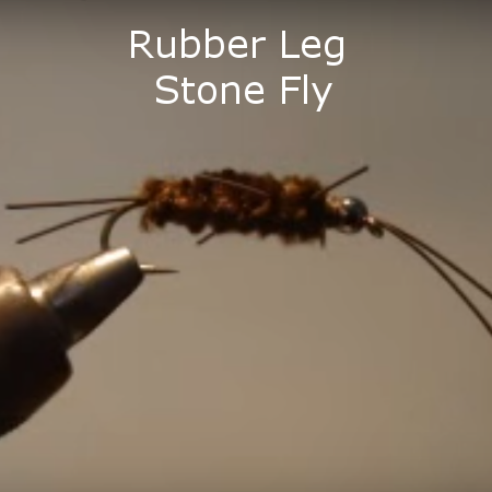 Stonefly – Flyfishers at the Crossing