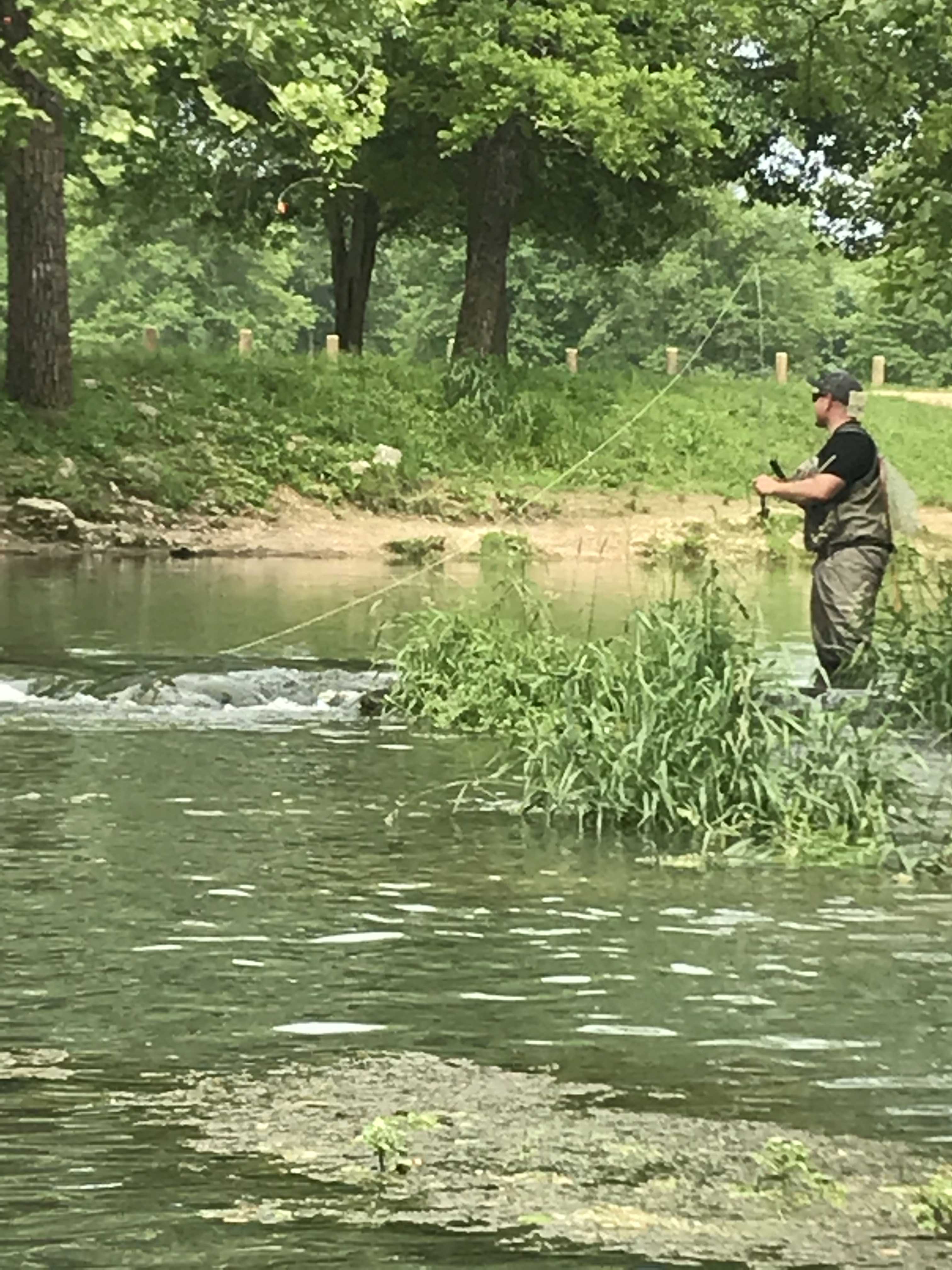 Trips: Lady and the Tramps - The Mayfly Project | Flyfishers at the ...