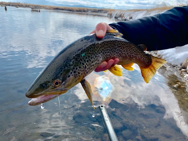 Reflections of a Fly Fisher – Patience – Flyfishers at the Crossing