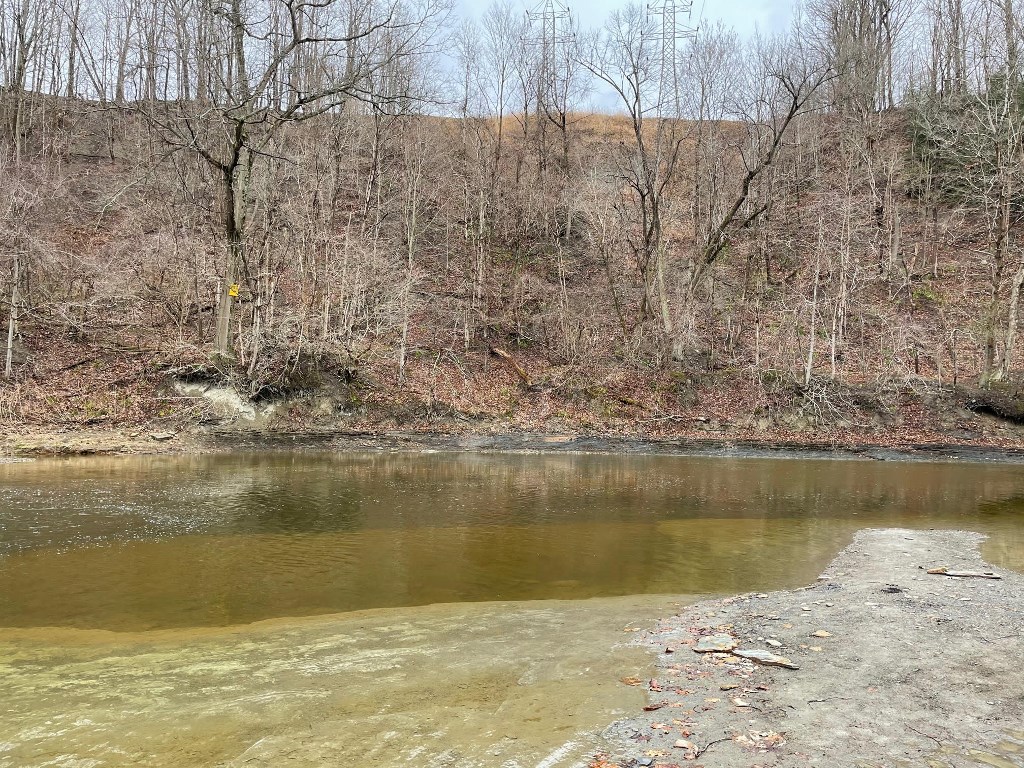 Trips: Steelhead Fishing Discovered!! – Flyfishers at the Crossing