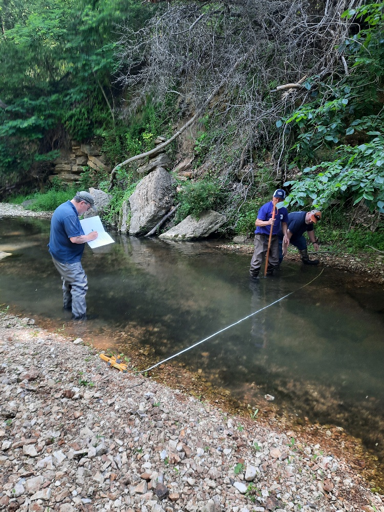 Service: June 2023 Stream Team – Bonhomme Creek – Flyfishers at the ...