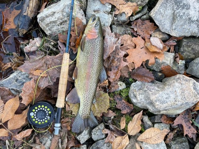 Trips: Spring River Fellowship!! – Flyfishers at the Crossing