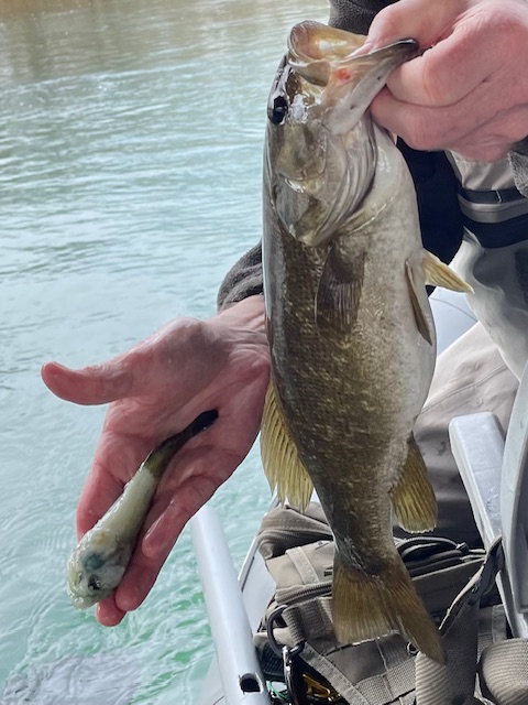 Trips: Spring River AR, March 2024 – Flyfishers at the Crossing