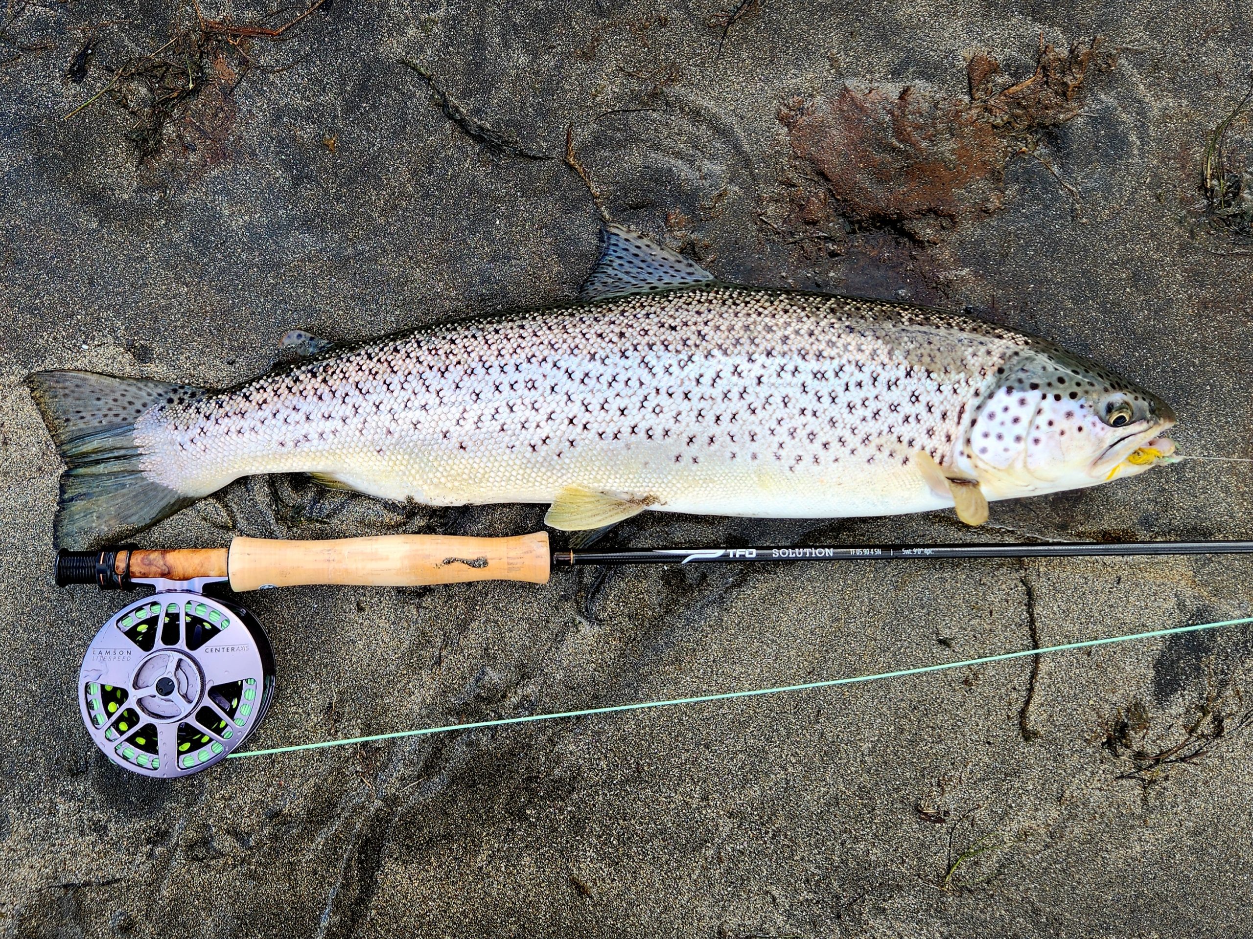 Trips: Land of the Midnight Sun – Iceland – Flyfishers at the Crossing