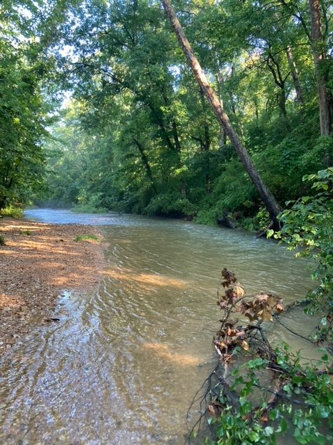 Trips: Blue Spring Creek – Flyfishers at the Crossing