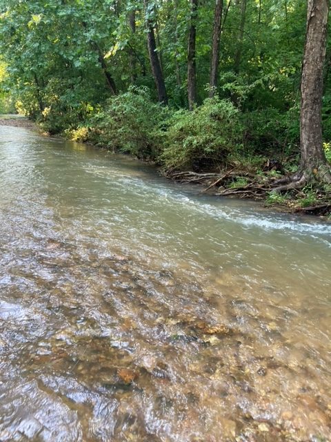 Trips: Blue Spring Creek – Flyfishers at the Crossing